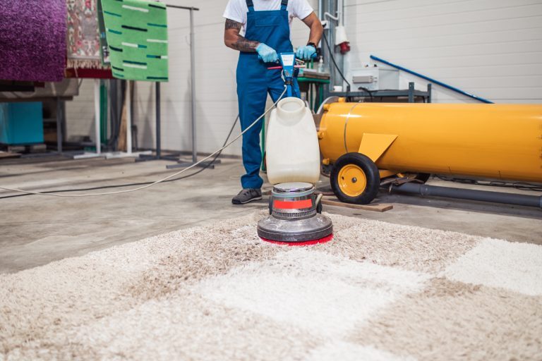 Expert Carpet Cleaning Services for a Fresh, Spotless Home